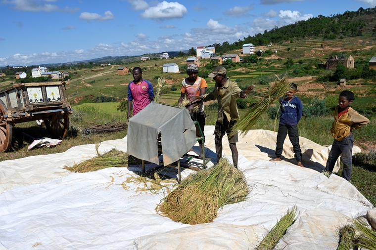 Madagascar : Manger, Apprendre, Vers l'Autonomie...