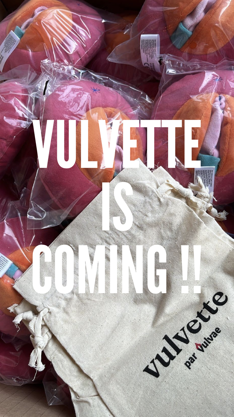 ⏳ J-0 !⏳ Vulvette, la peluche pédagogique de Vulvae