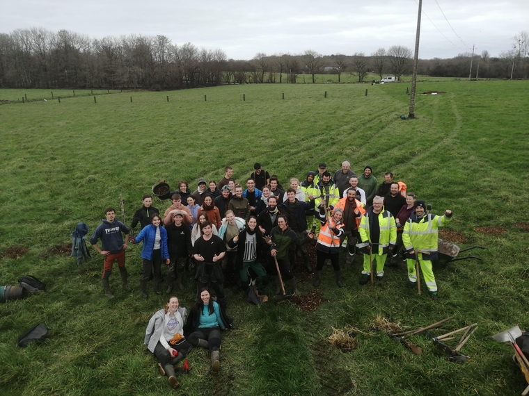 Des brebis pour la Bergerie d'Askell