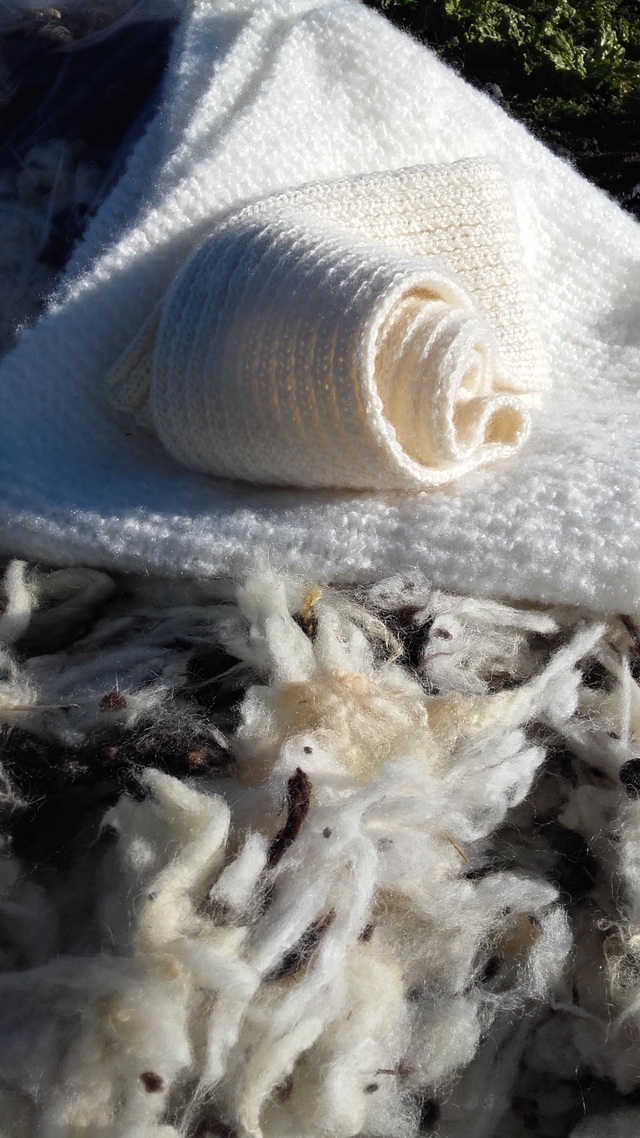 Atelier de filage au rouet - Ulule