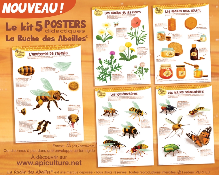 La Ruche des Abeilles®