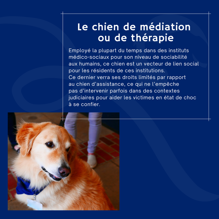 Psy'Chien, Chiens d'Assistance Psychiatrique