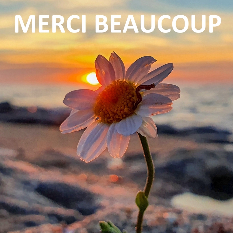 Les aventures de Babouk - Regarde et écoute