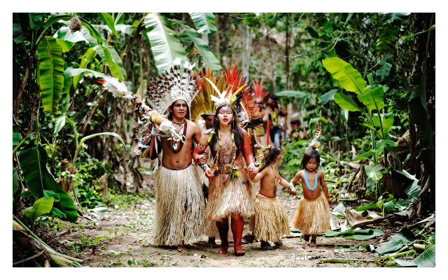 Quinzaine Amazonienne - Ulule