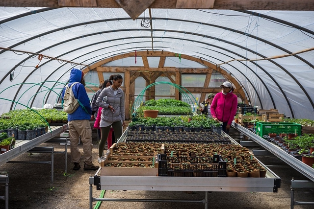 La SAUGE - Pépinière urbaine ! - Ulule