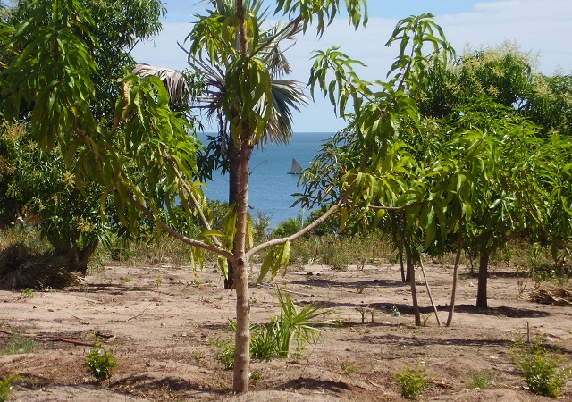 La Vallée de l'Ankoay - Ulule