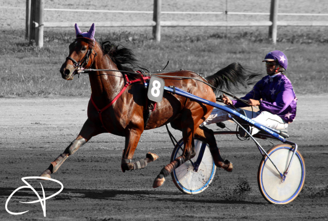 Pour que ça continue, pour que ça évolue : Chachou Photographies - Ulule