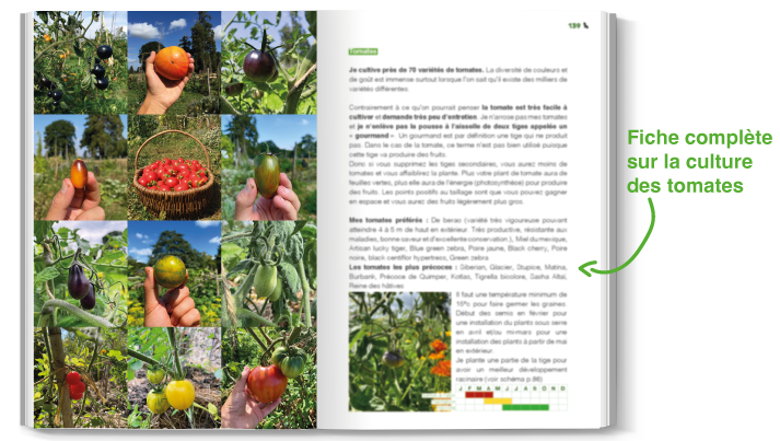 Le guide du parfait jardin en permaculture