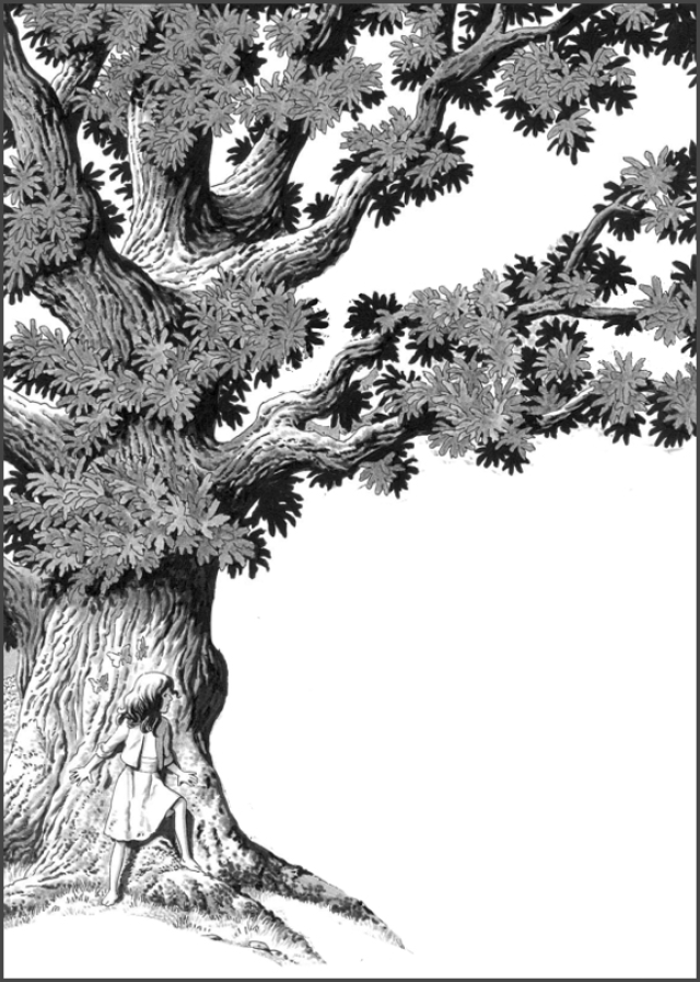 La BD : L'ARBRE - Ulule