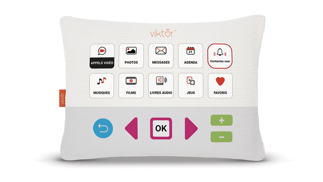 Coussin VIKTOR - Ulule