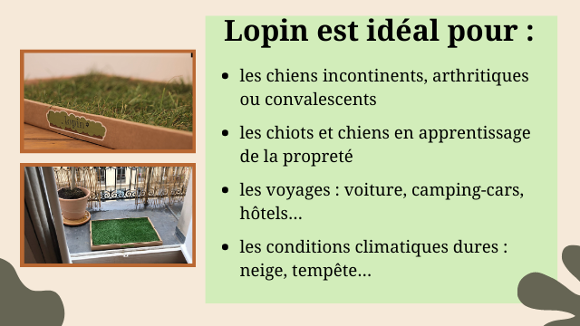 Lopin, le carré d'herbe pour nos animaux