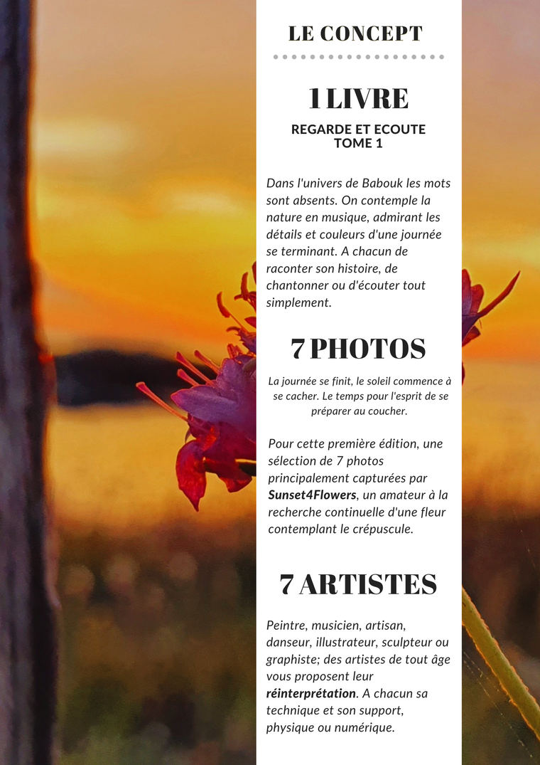 Les aventures de Babouk - Regarde et écoute