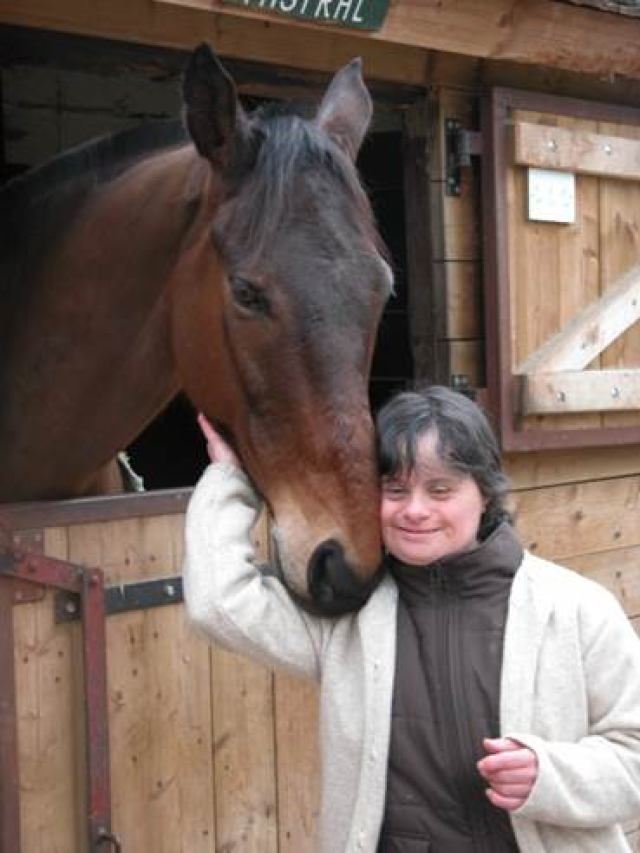 Cheval et Handicap - Ulule
