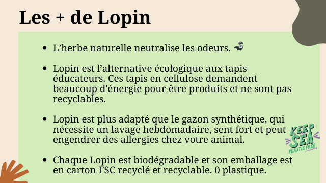 Lopin, le carré d'herbe pour nos animaux
