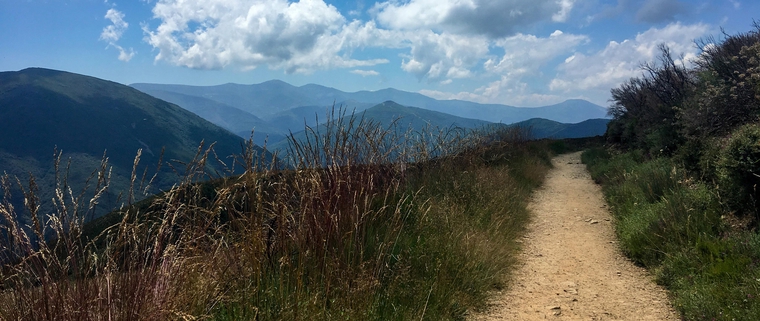 Carnet d'accompagnement sur les chemins