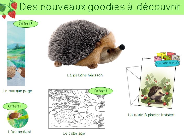 Gilbert, le hérisson sans piquants