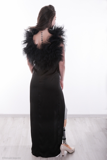 Phoenix Alternative Models - Ulule