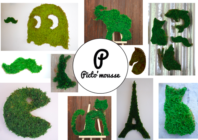 PICTO'MOUSSE du vert même en hiver