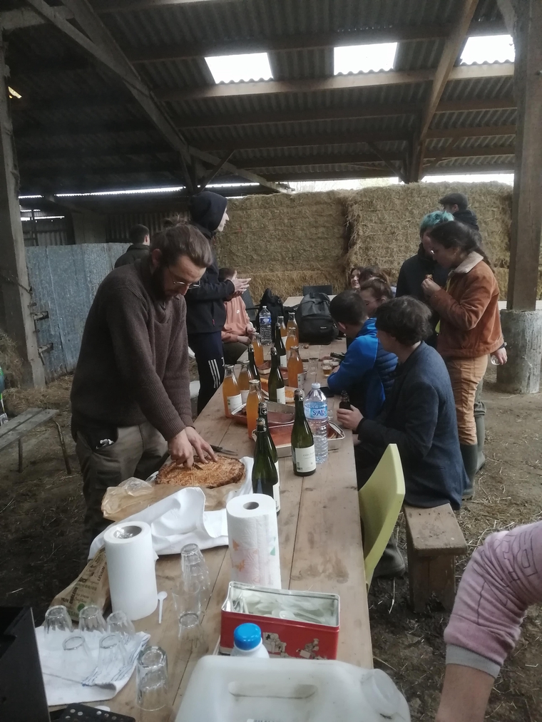 Des brebis pour la Bergerie d'Askell