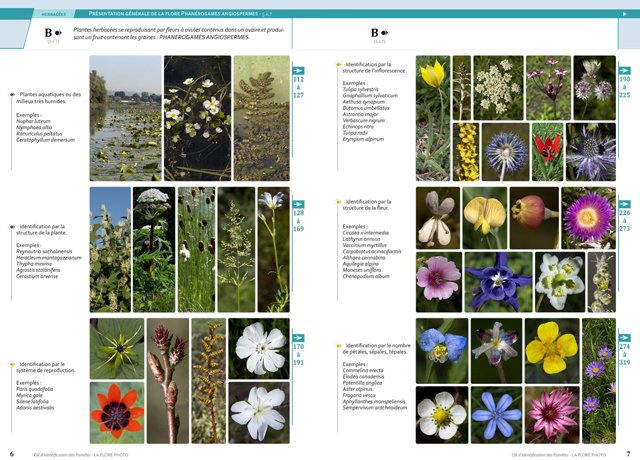 La Flore Photo - Ulule