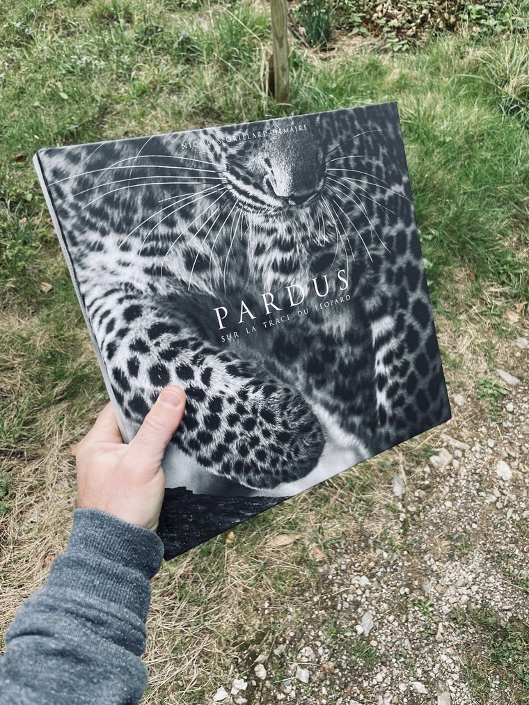 PARDUS - sur la trace du leopard