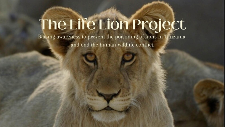 LIFE LION FILM