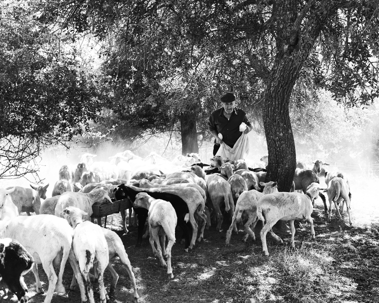 Comment vivre 100 ans