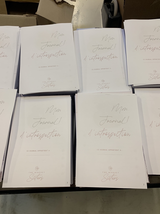 Mon Journal d'Introspection by The Mindset Sisters